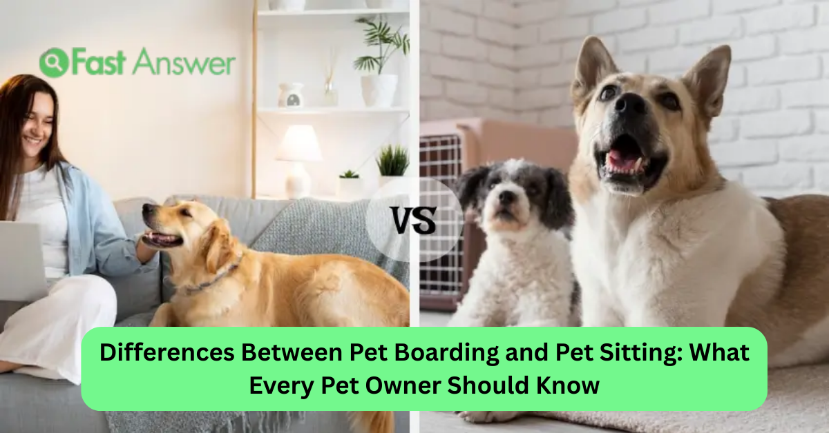 Differences Between Pet Boarding and Pet Sitting: What Every Pet Owner ...